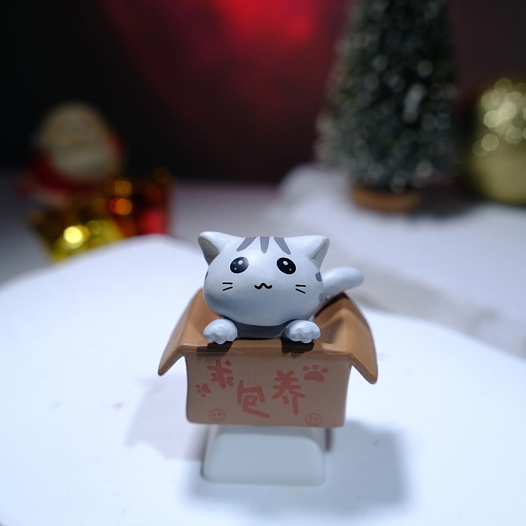 Keycap Mèo Con Trong Hộp Nút Keycap Lẻ Cho Bàn Phím Cơ | Shopee Việt Nam
