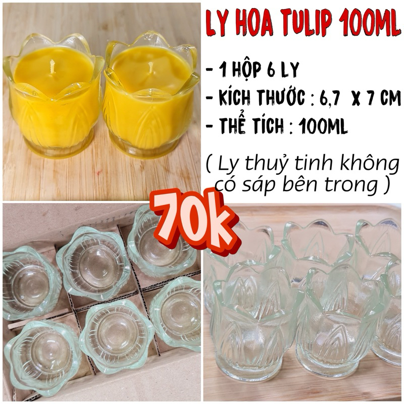 1 hộp 6 ly hoa tulip làm nến ( ly không ) | Shopee Việt Nam