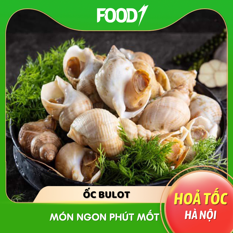 ỐC BULOT – ỐC BULOT NHẬP KHẨU ỐC BULOT NHẬP KHẨU HÀNG NGON ( 20-30CON ...
