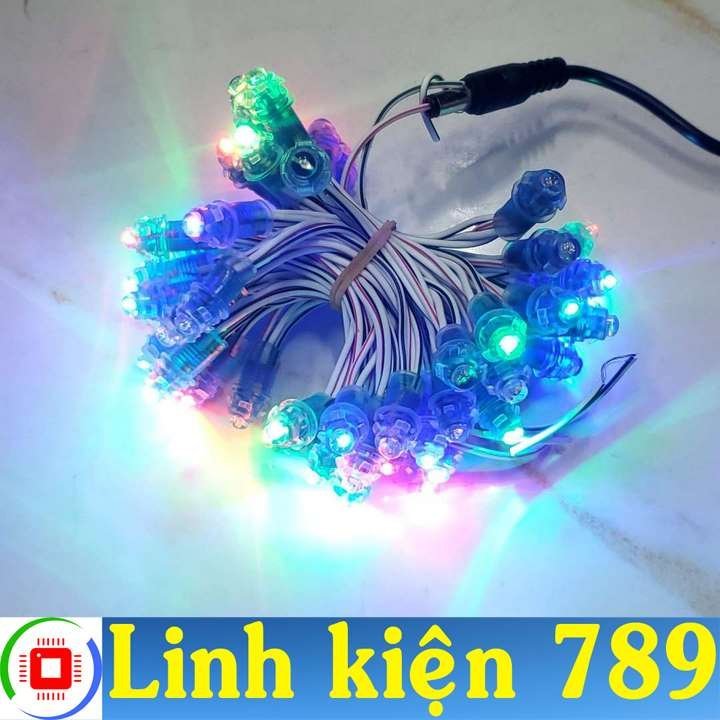 LED F5 LED đúc F5 đế 9mm chống nước ĐỦ MÀU cuộn 3m 50 bóng | Shopee ...