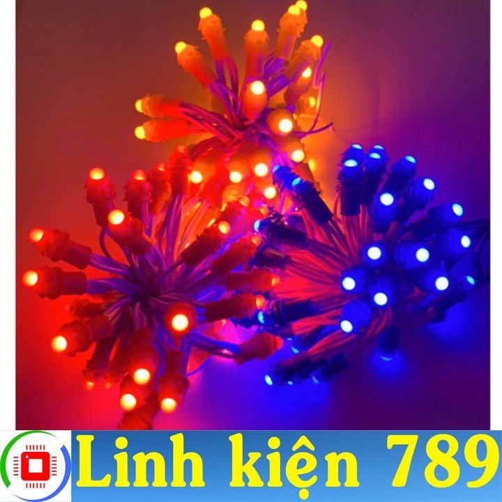 LED F5 LED đúc F5 đế 9mm chống nước ĐỦ MÀU cuộn 3m 50 bóng | Shopee ...