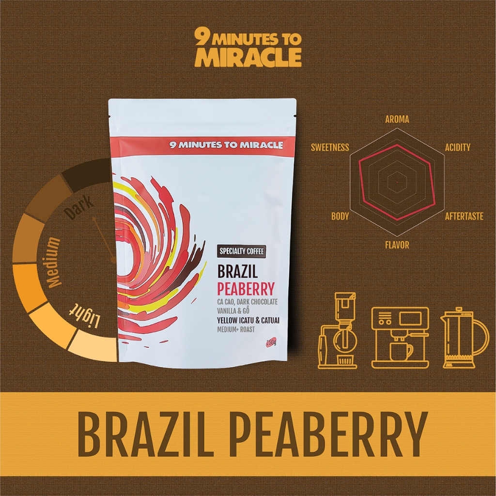 Cà Phê Brazil Peaberry Minas Cerrado | Cà Phê Specialty - Espresso | Shopee Việt Nam