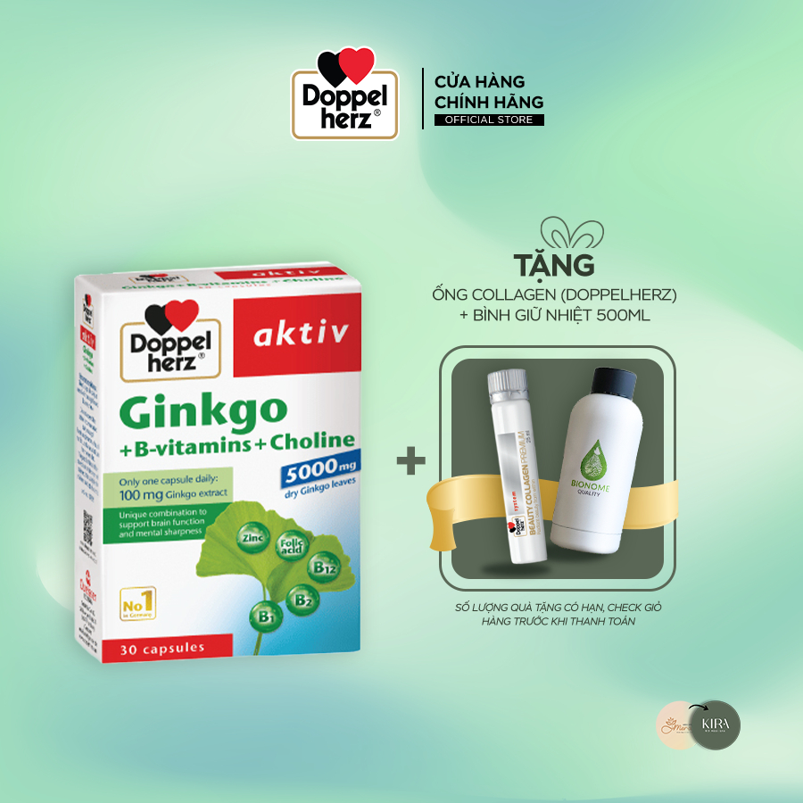 [TPCN Nhập Khẩu] Viên uống tăng cường tuần hoàn não và cải thiện trí ...