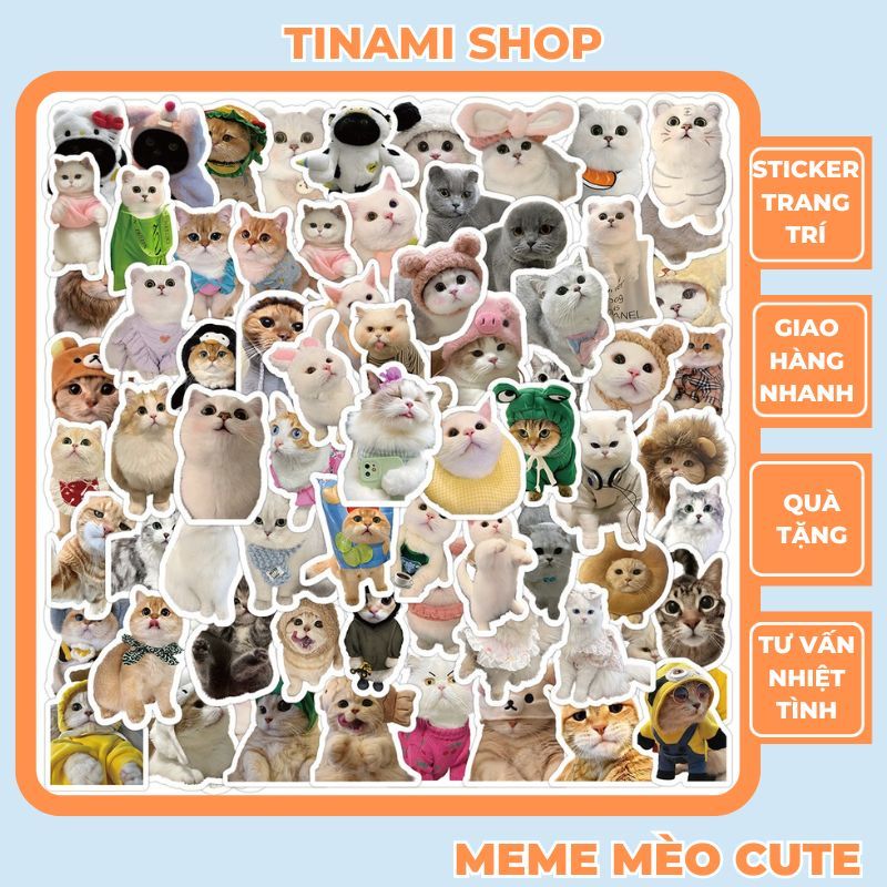 Set 100 sticker chủ đề meme mèo đáng yêu những chú mèo dễ thương hình ...
