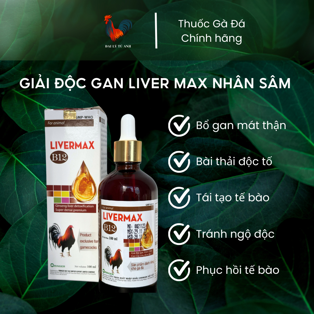 (10ml & 100ml) Giải Độc Gan Siêu Đậm Đặc LIVERMAX B12, Chiết Suất Nhân ...