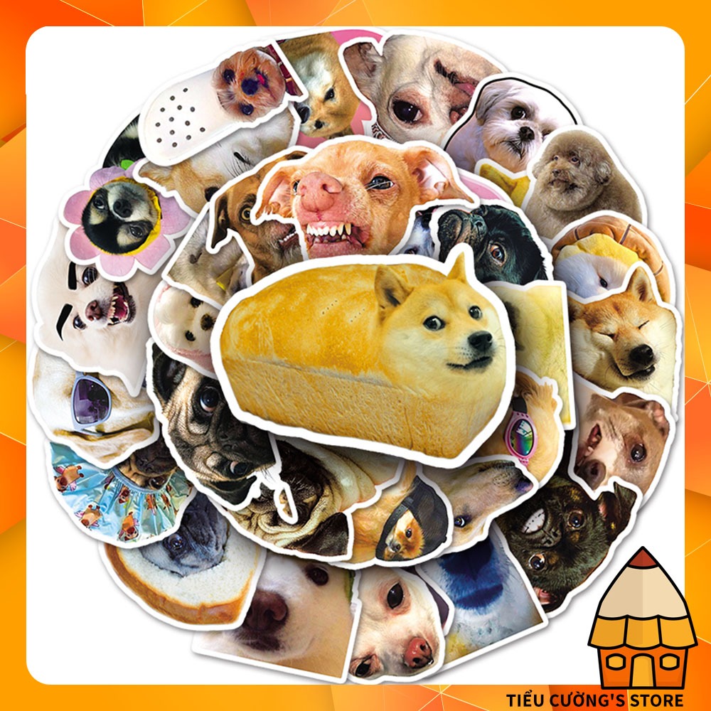 Set 10/20/50 Hình Dán Chó Cheems meme 🐶 Sticker Funny Dog trang trí xe ...