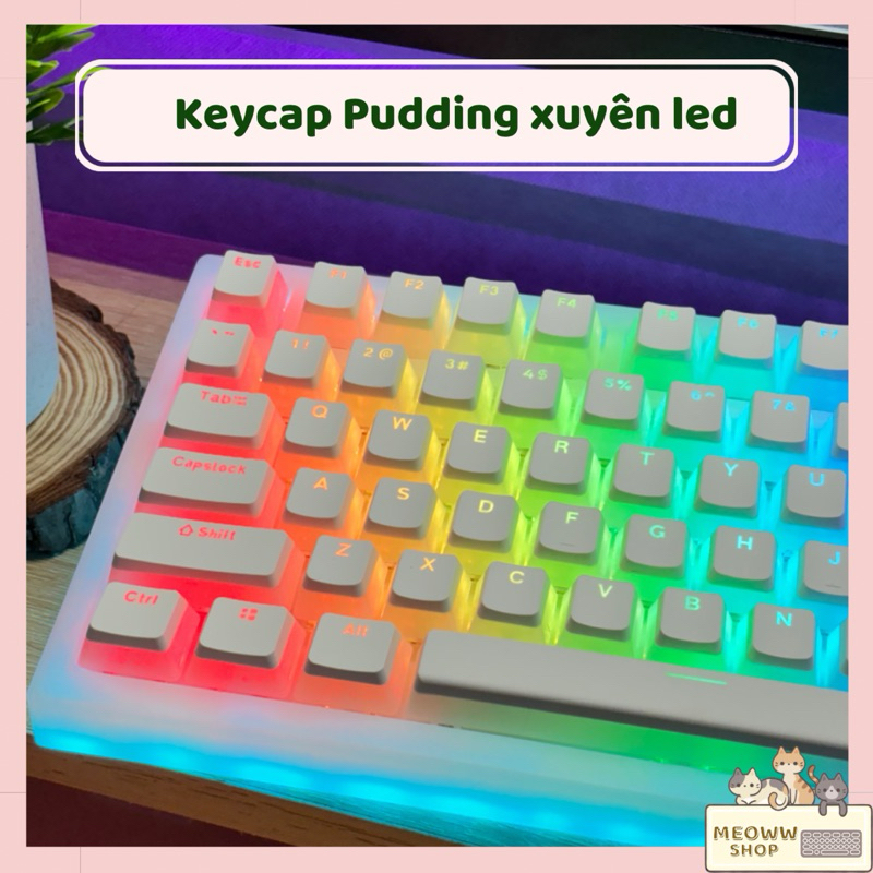 Keycap Pudding xuyên led | PBT double shot | Profile Oem giá rẻ ...