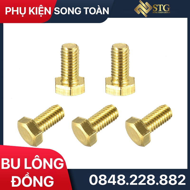 Bu Lông Đồng Thau M5, Đầu Vít Ốc Ren M5 Dài 14mm (Túi 10 Cái) Đồng Thau ...
