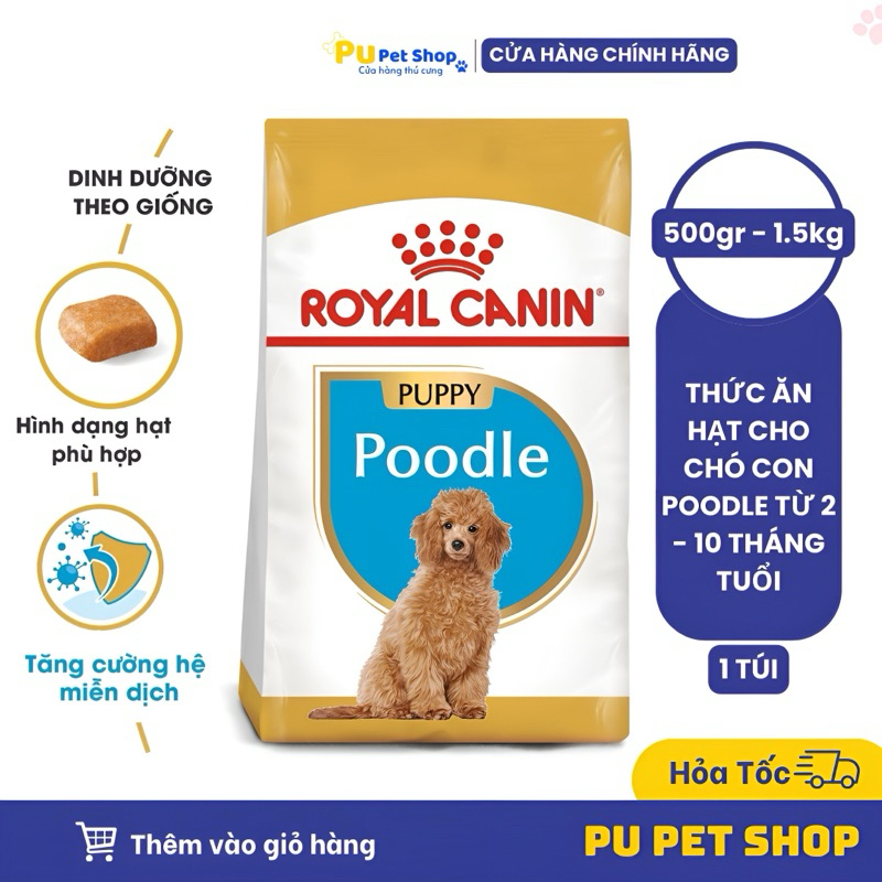 [500G - 1.5KG] Thức ăn hạt cho Chó Con Poodle - Royal Canin Poodle ...