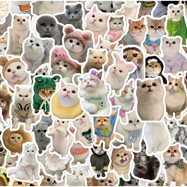 Quà Tặng Hình Dán Meme Sticker Mèo Cute Vui Nhộn Hài Hước | Shopee Việt Nam