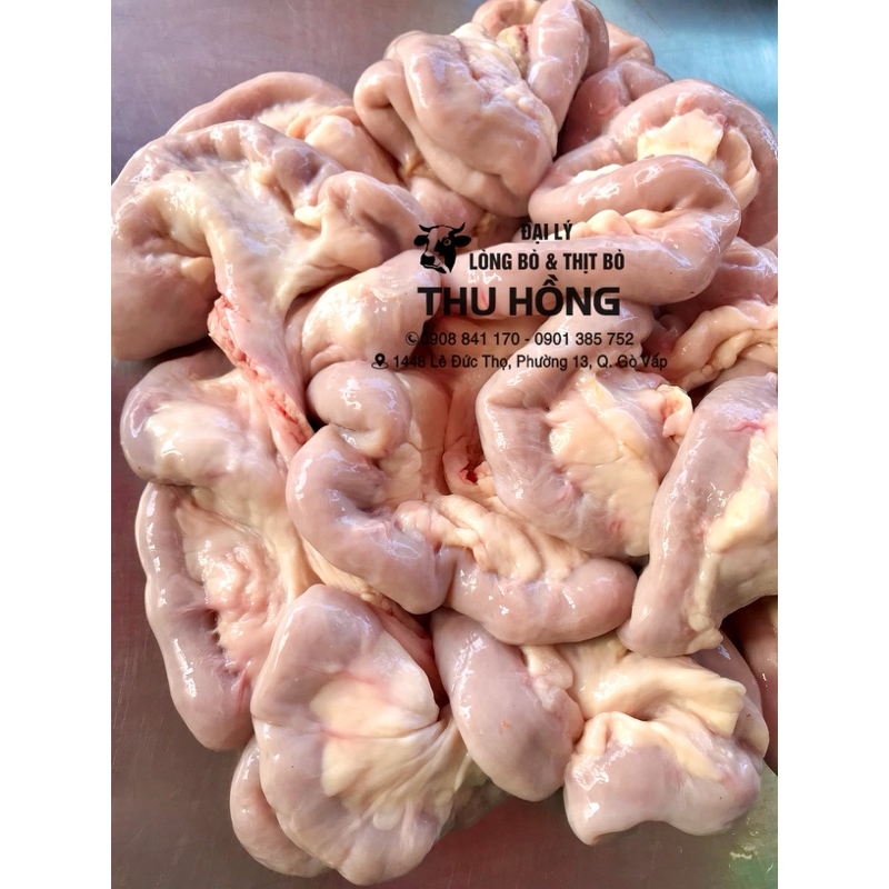 LÒNG NON BÒ TƯƠI - 곱장 (Gopchang) - SMALL BEEF INTESTINE FRESH 500gr/1kg ...