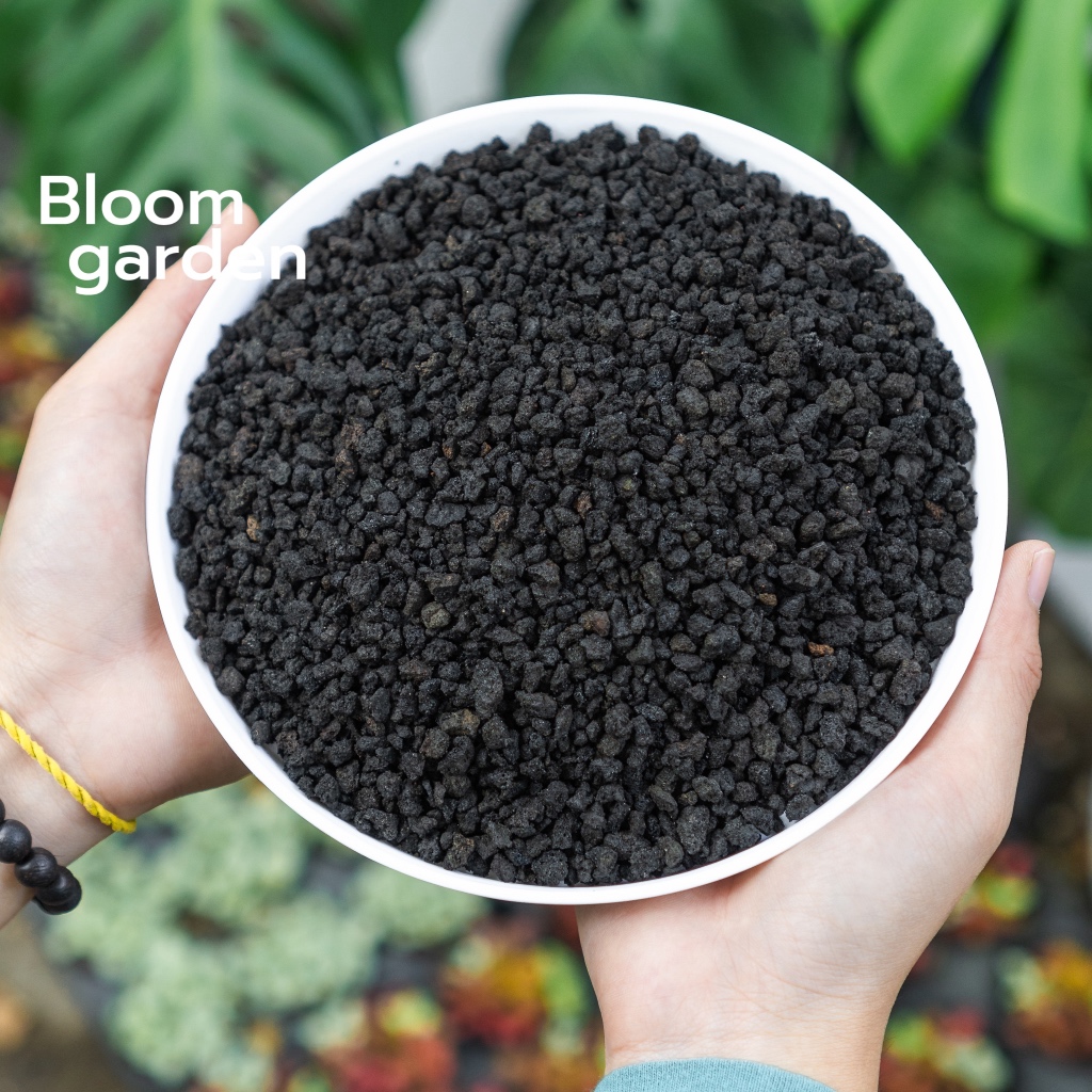 (1kg) Đá Lava đen- Nham Thạch Đen nhập Indo - Rải mặt, trộn đất trồng ...