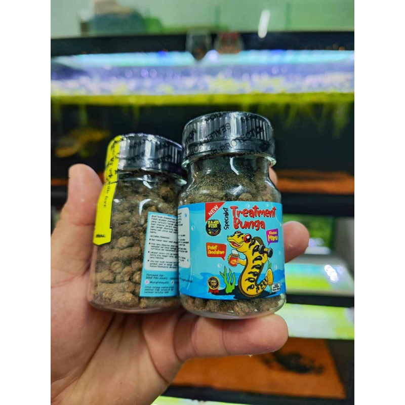 CÁM TREATMENT BUNGA ( BANG FISH ) | Shopee Việt Nam
