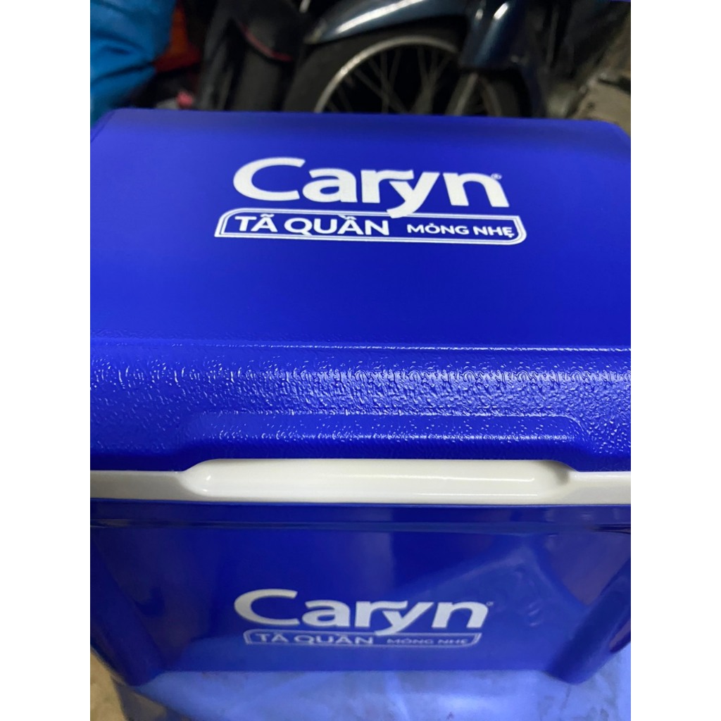 THÙNG ĐÁ 6L DUY TÂN QUÀ TẶNG TỪ CARYN | Shopee Việt Nam