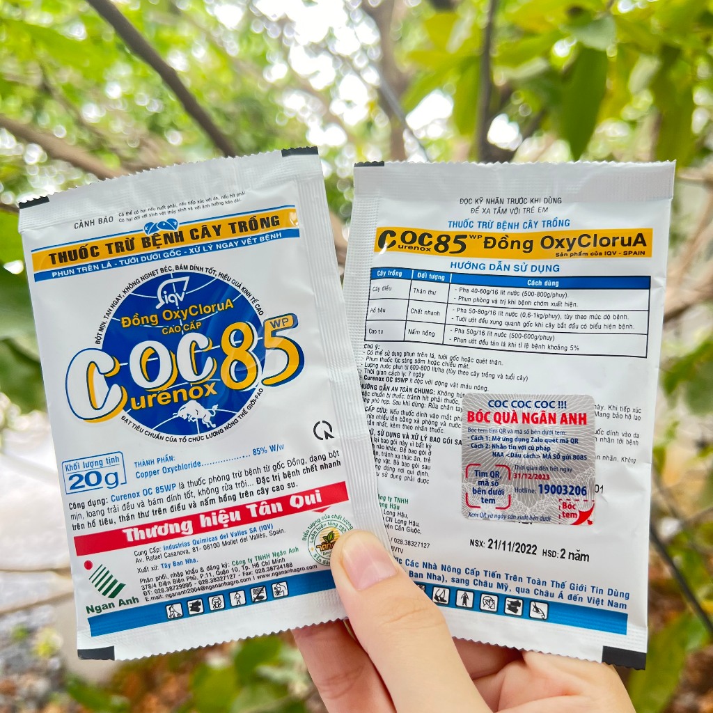Phòng trừ thối rễ, chết nhanh Coc85 gốc đồng rửa vườn trừ nấm hồng cho ...