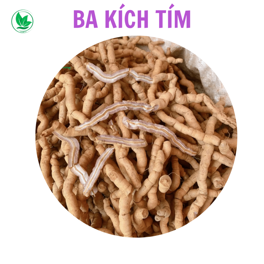 Ba Kích Tím Hàng Quảng Ninh Hỗ Trợ Bồi Bổ Sức Khoẻ, Dùng Ngâm Rư.ợu Làm ...