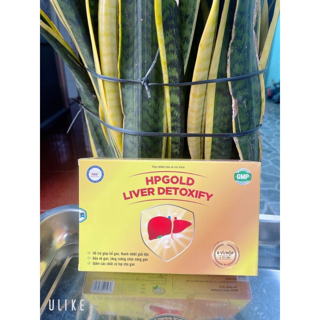 HP GOLD LIVER DETOXIFY - Bảo vệ gan, hỗ trợ giúp bổ gan, thanh nhiệt ...