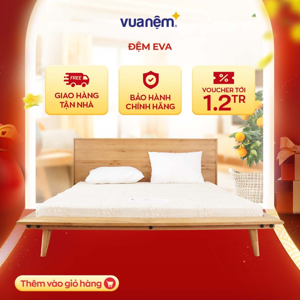 Nệm foam Goodnight Eva 10cm tại Vua Nệm - Gấp gọn tiện lợi, cải thiện ...