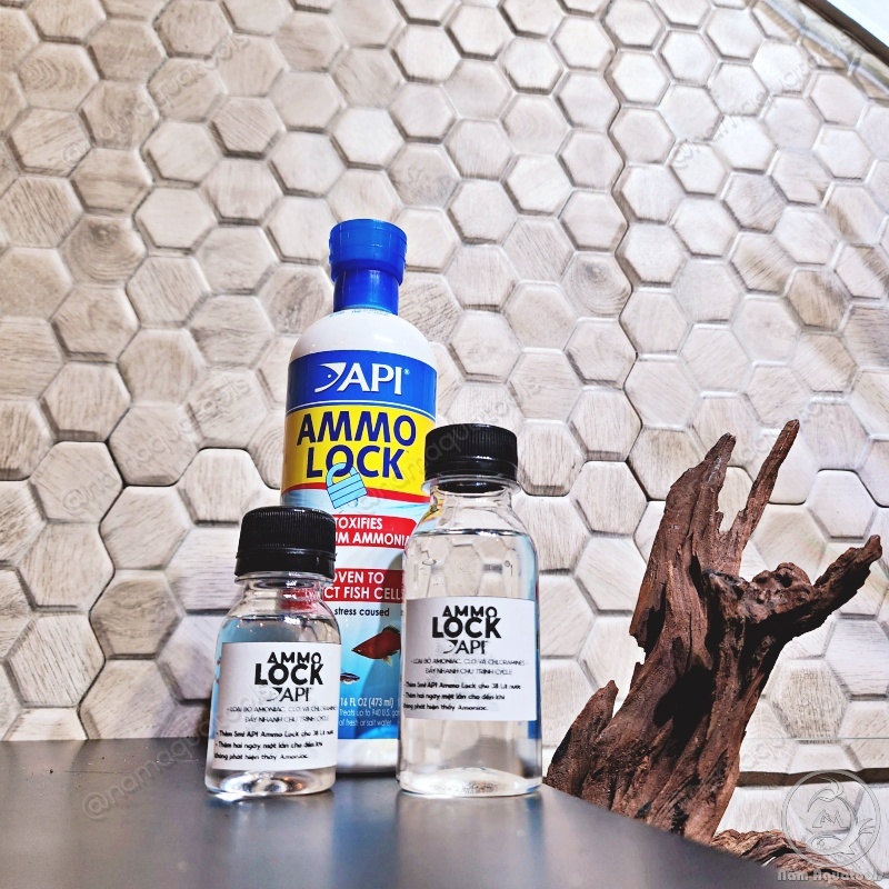 API - AMMO LOCK | Vi Sinh Khử Độc - Khống Chế Ammoniac (Chai trải ...