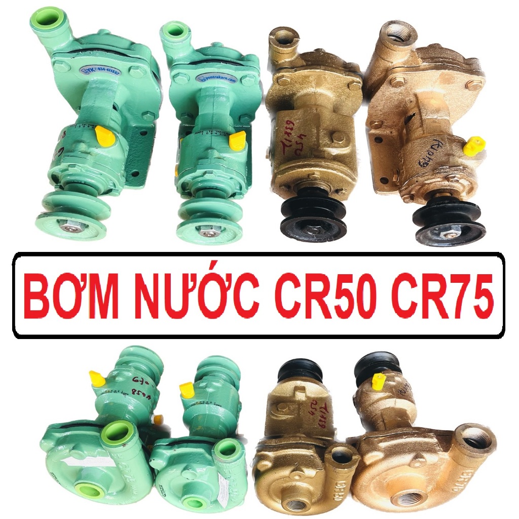 [Freeship] Bơm nước CR50 CR75 bơm cọ Thái xanh loại tốt, bơm nước máy ...