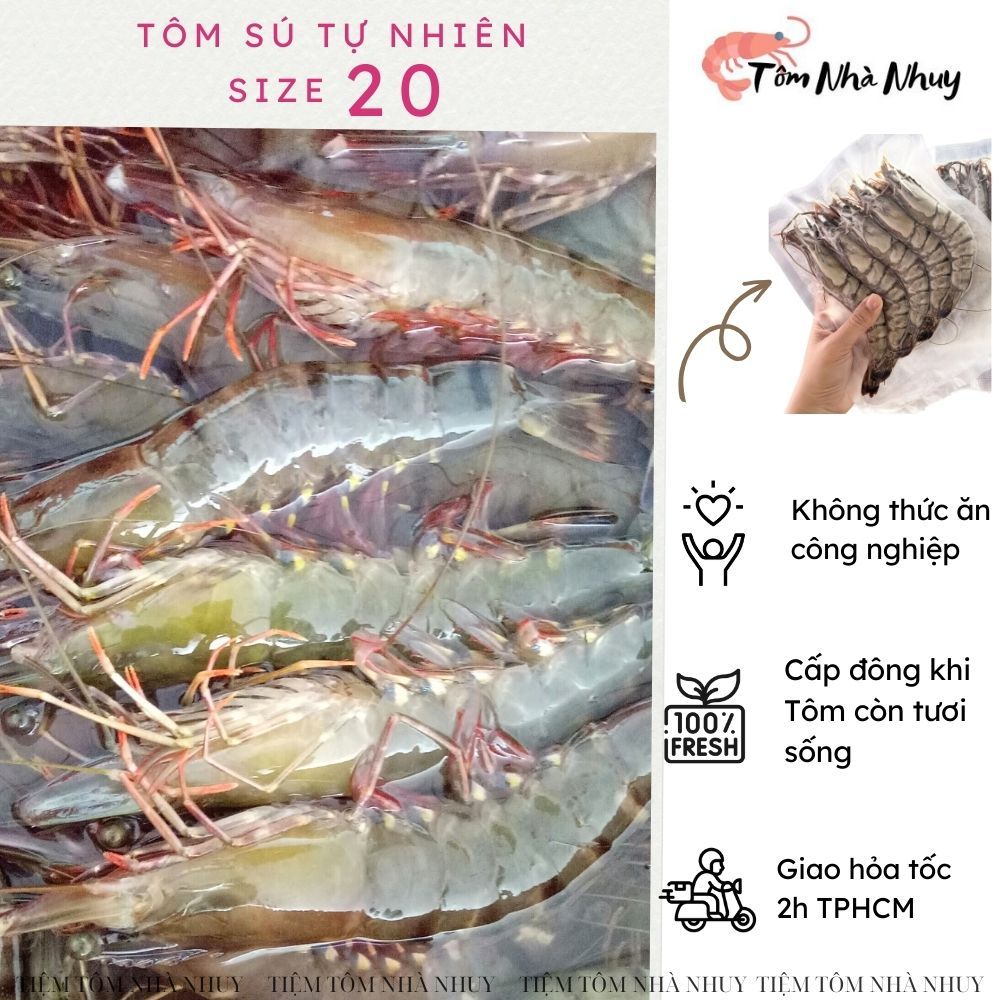 Tôm sú tự nhiên nhà Nhuy size 20 con/kg | Shopee Việt Nam
