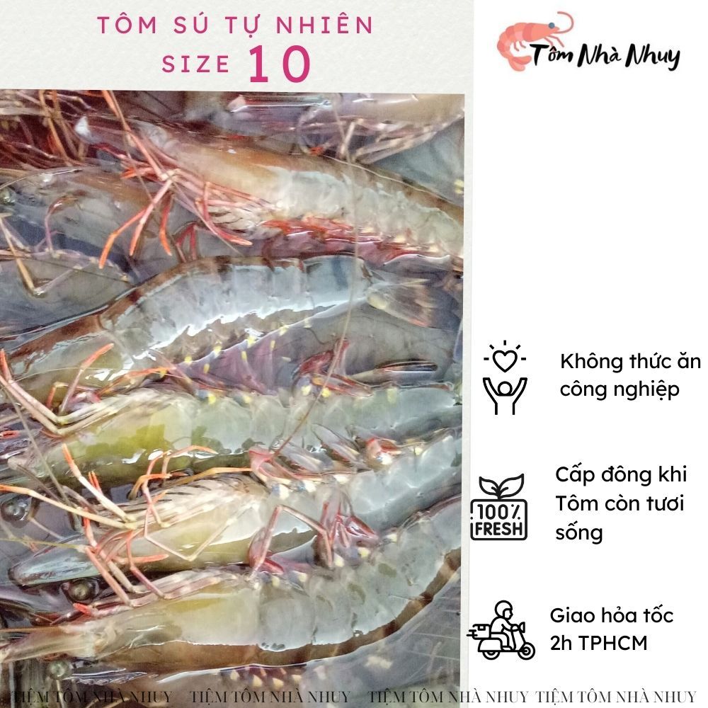 Tôm sú tự nhiên nhà Nhuy size đại 10 con/kg | Shopee Việt Nam