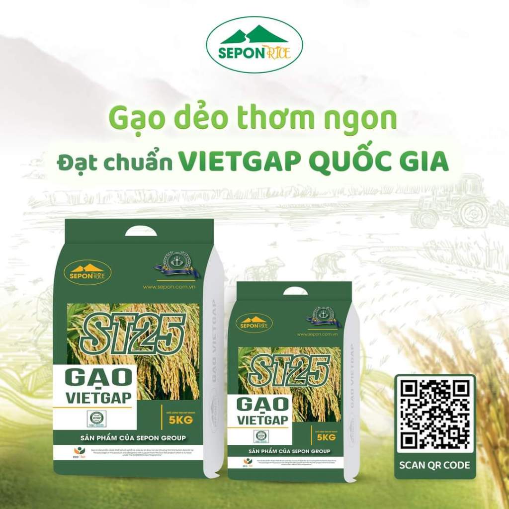 Gạo ST25 VietGap | Shopee Việt Nam