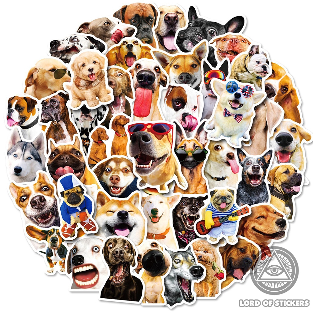 Set 50 Hình Dán Sticker Meme Chó Cute Hài Hước Chống Thấm Nước Trang ...