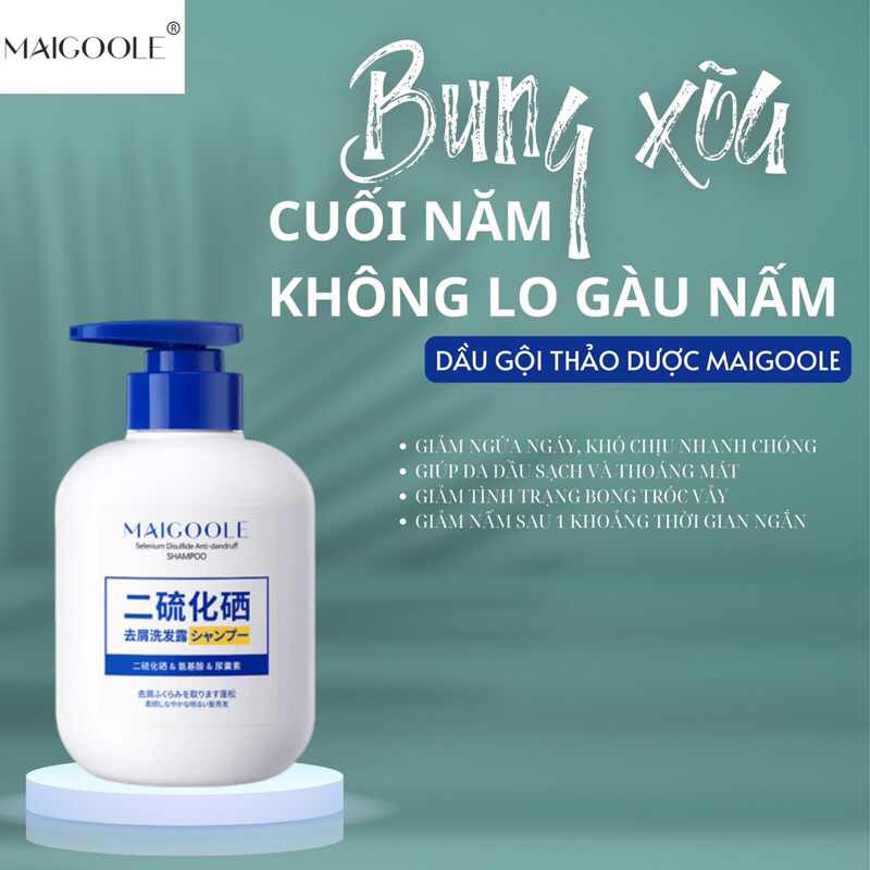 Dầu gội nấm ngứa da đầu MAIGOOLE | Shopee Việt Nam