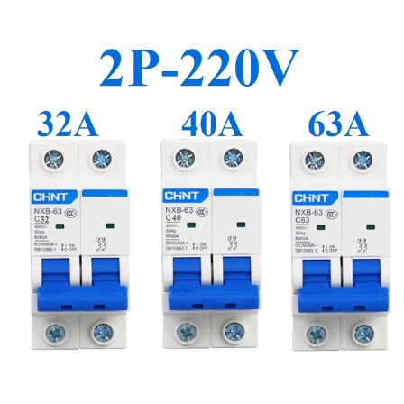 Áp tô mát 2P Chint AC - Aptomat CHINT NXB-63 2P Chint AC 6A, 10A, 16A, 20A, 25A, 32A, 40A, 50A ...