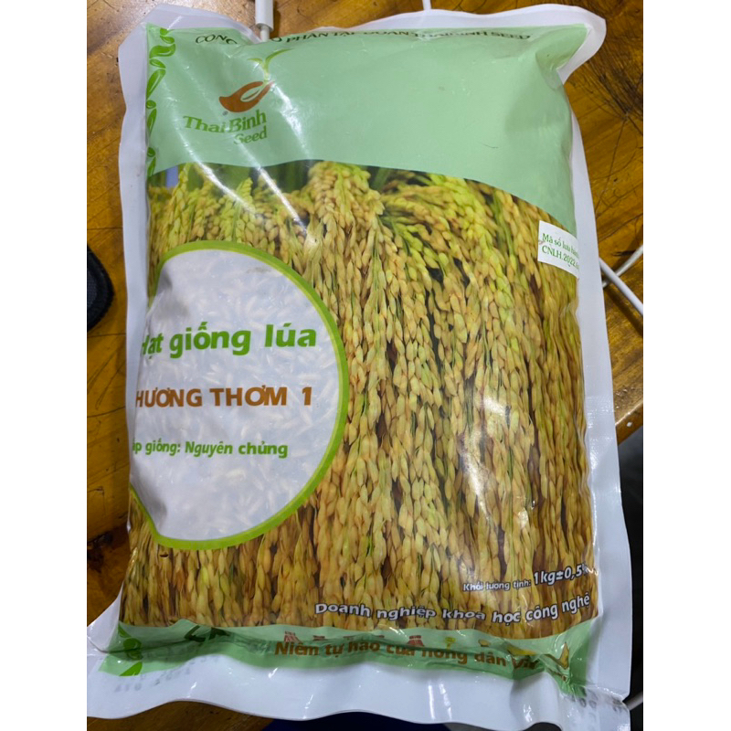 HẠT GIỐNG LÚA HƯƠNG THƠM 1 THAIBINH SEED 1KG. | Shopee Việt Nam