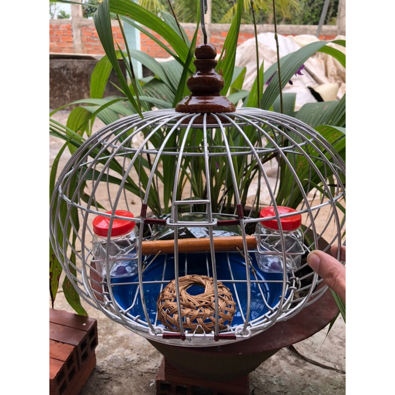 Lồng nhôm chim cu gáy size36 | Shopee Việt Nam