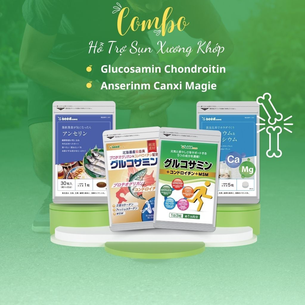 Combo Viên Uống Glucosamin Chondroitin Anserin Collagen Type 2 MSM ...