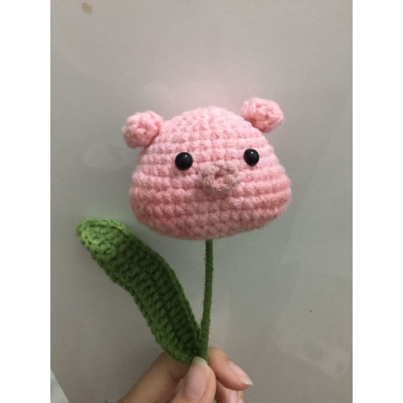 hoa len chỉ bán cành hoa ( hoa heo ,hoa tulip ,hoa gà tiểu thư , hoa ...