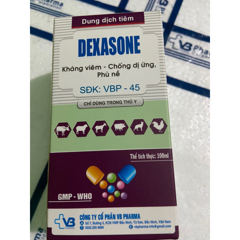 Dexasone(100ml) | Shopee Việt Nam
