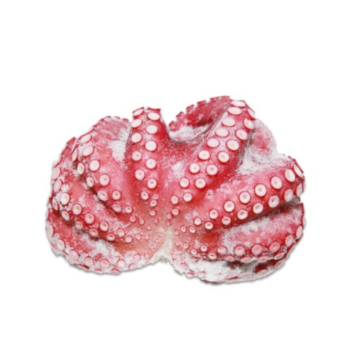 [SỈ 3 CON] Bạch tuộc luộc đông lạnh Việt Nam 6 ký Boiled Giant Octopus ...