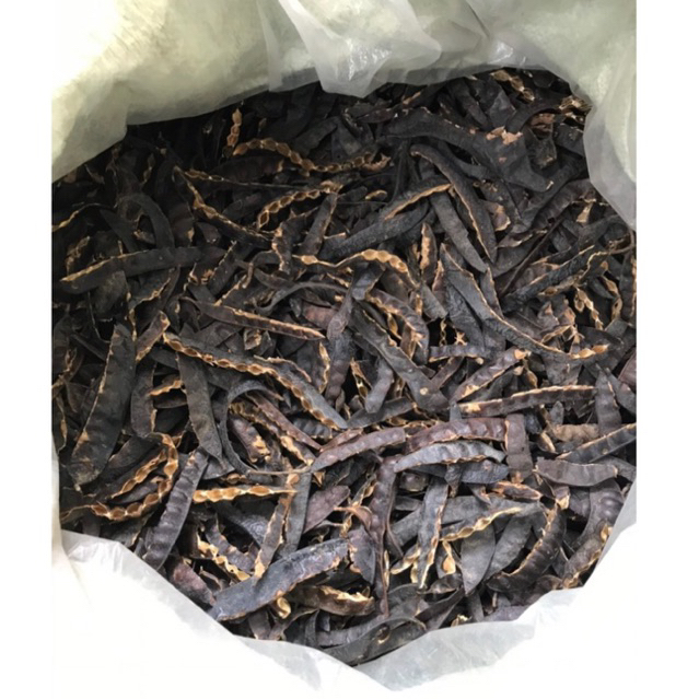 Bồ kết tách hạt, nướng sẵn 1kg | Shopee Việt Nam