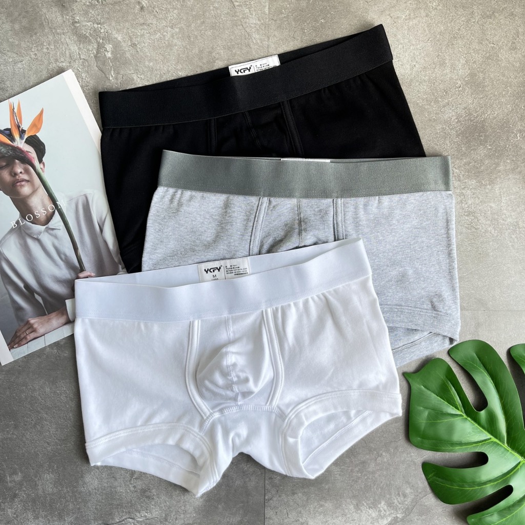 Quần Lót Nam - boxer sịp đùi Basic cao cấp kháng khuẩn tốt cho các quý ...
