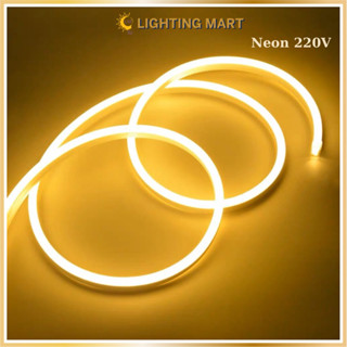 Combo 5M 10M 15M 20M Dây Led neon 220V (gồm nguồn), dây led trang trí ...