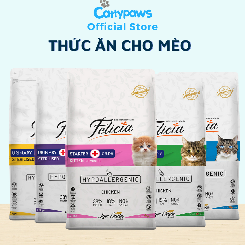 Thức Ăn Cho Mèo Con Mèo Mẹ Felicia Kitten Food With Chicken Túi 400g ...