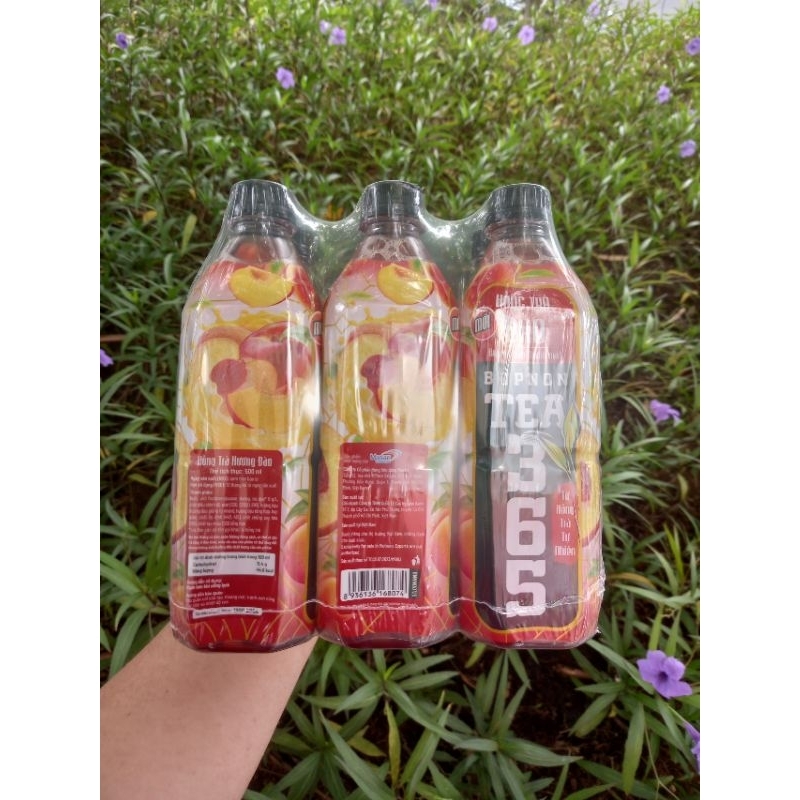 Lốc 6 chai Bupnon 365 Tea Hồng Trà Vị Đào 500ml | Shopee Việt Nam