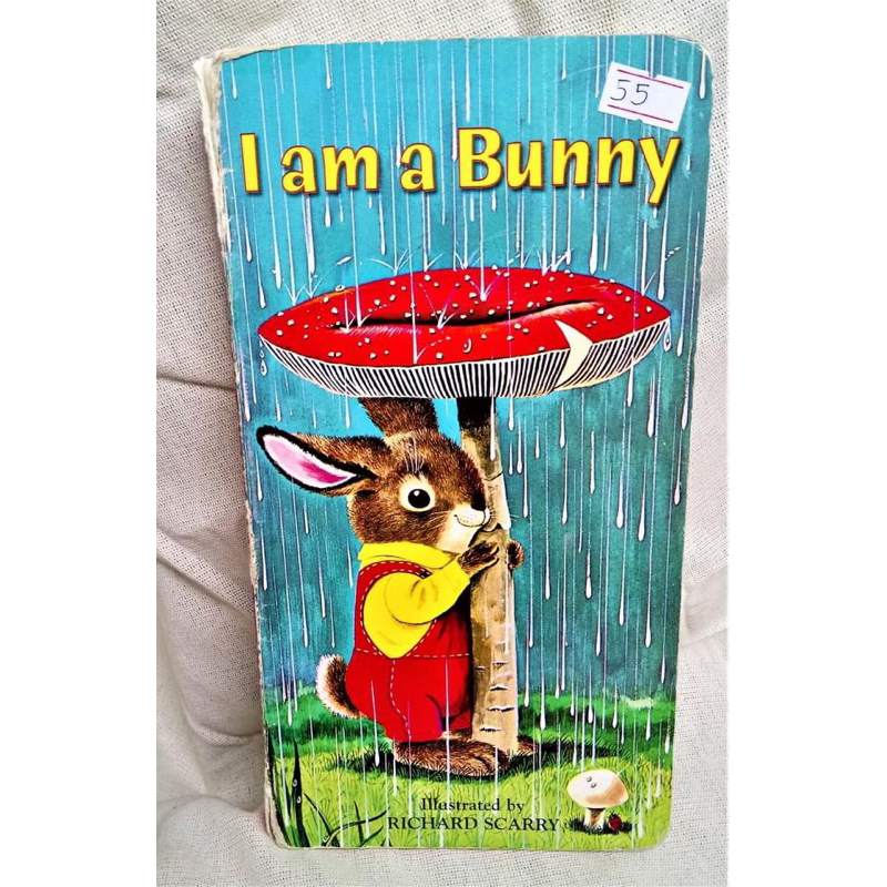 I am a Bunny - Broadbook khổ nhỏ cầm tay rất xinh, Bản nhập tiếng Anh ...