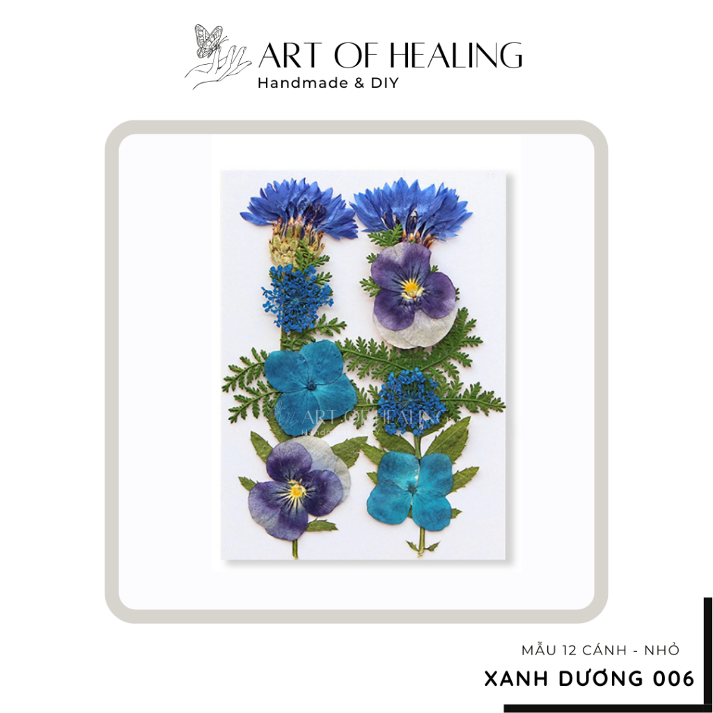 [AOH - Art of Healing] Set hoa ép khô các loại trang trí nến, resin, sổ ...