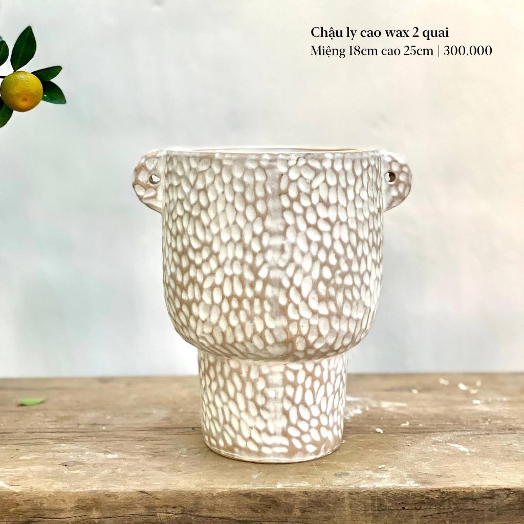 Chậu gốm trồng cây dáng ly cao/ dẹt 2 quai Tròn Tròn Saigon | Shopee ...