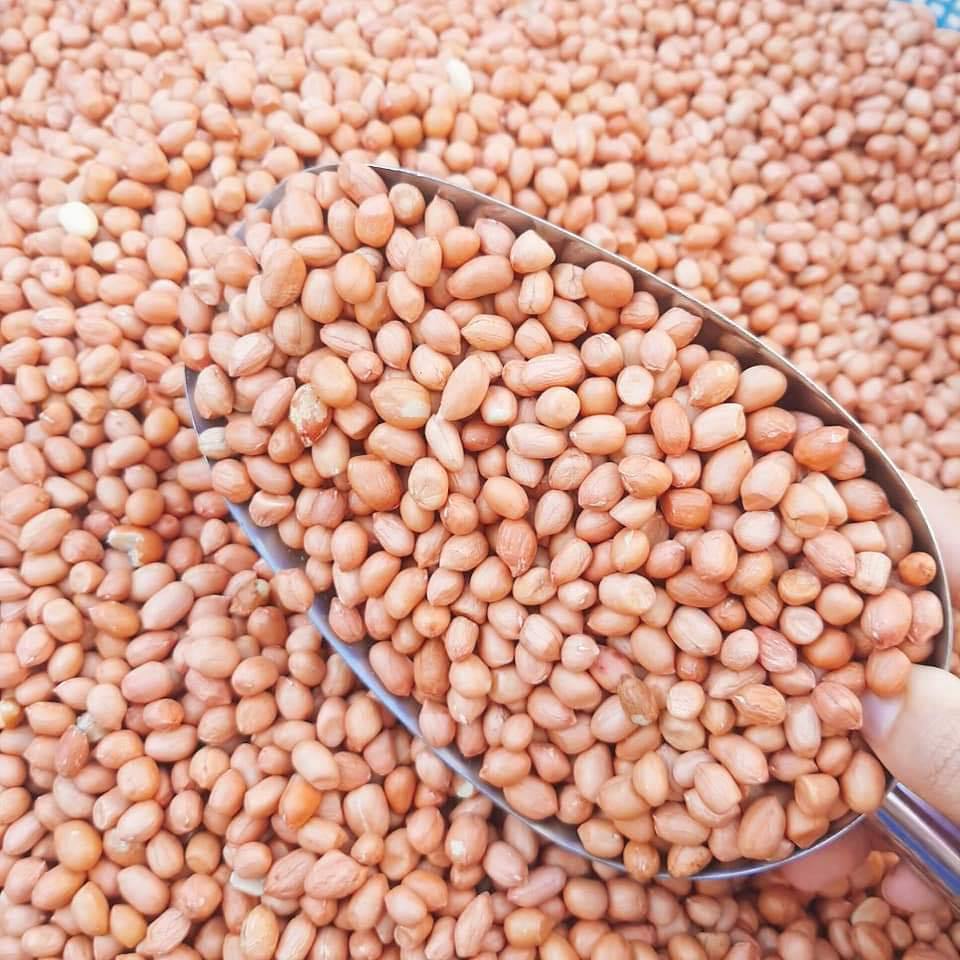Đậu Lạc giống cũ hạt nhỏ thuần chủng (Đậu Phộng, Hạt Lạc) | Shopee Việt Nam