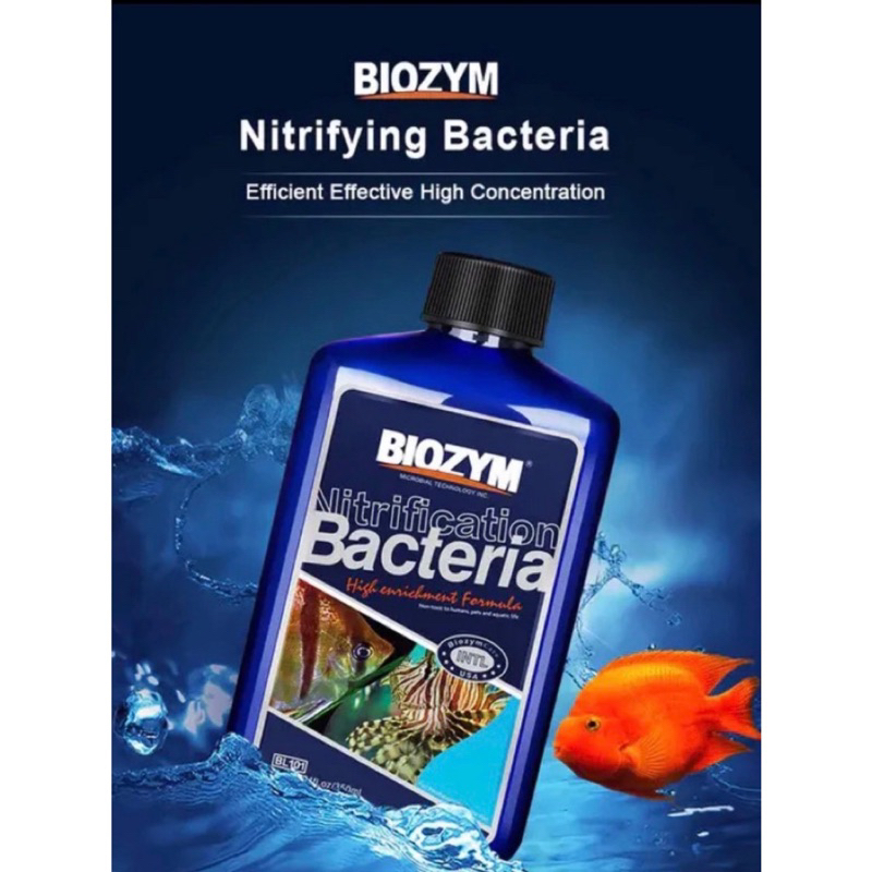 Vi sinh cao cấp biozym bacteria [QR code chính hãng ] | Shopee Việt Nam