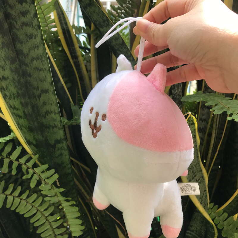 Gấu bông vịt Piske & thỏ hồng Usagi (2hand) | Shopee Việt Nam