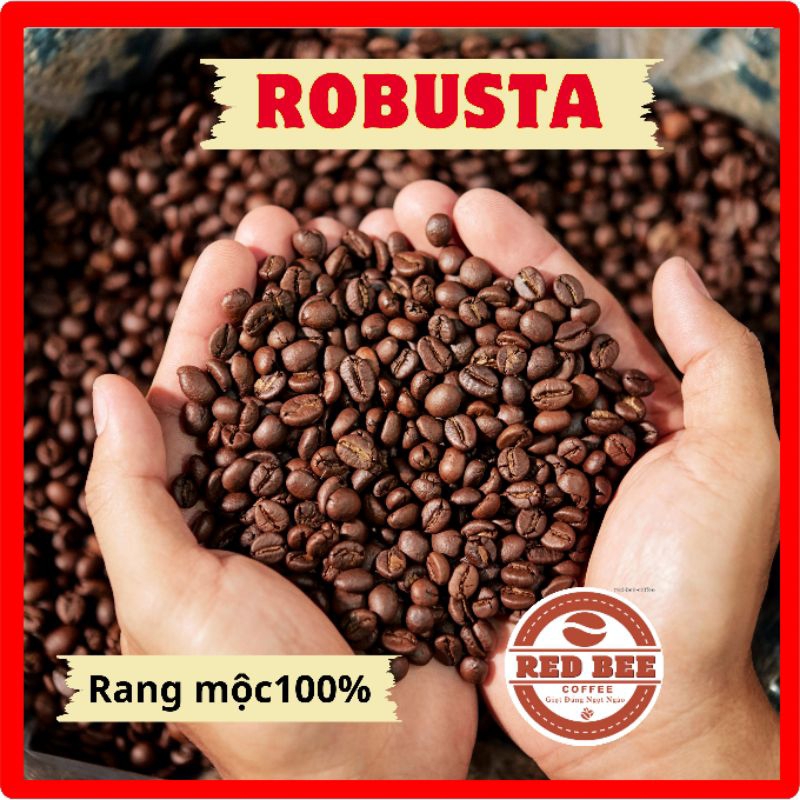 Cafe hạt Robusta, cafe hạt nguyên chất rang mộc 500g | Shopee Việt Nam