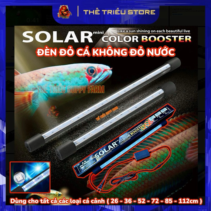Đèn bể cá Neo Helios Solar Color Booster RGB. Chuyên dùng cho Cá Lóc ...