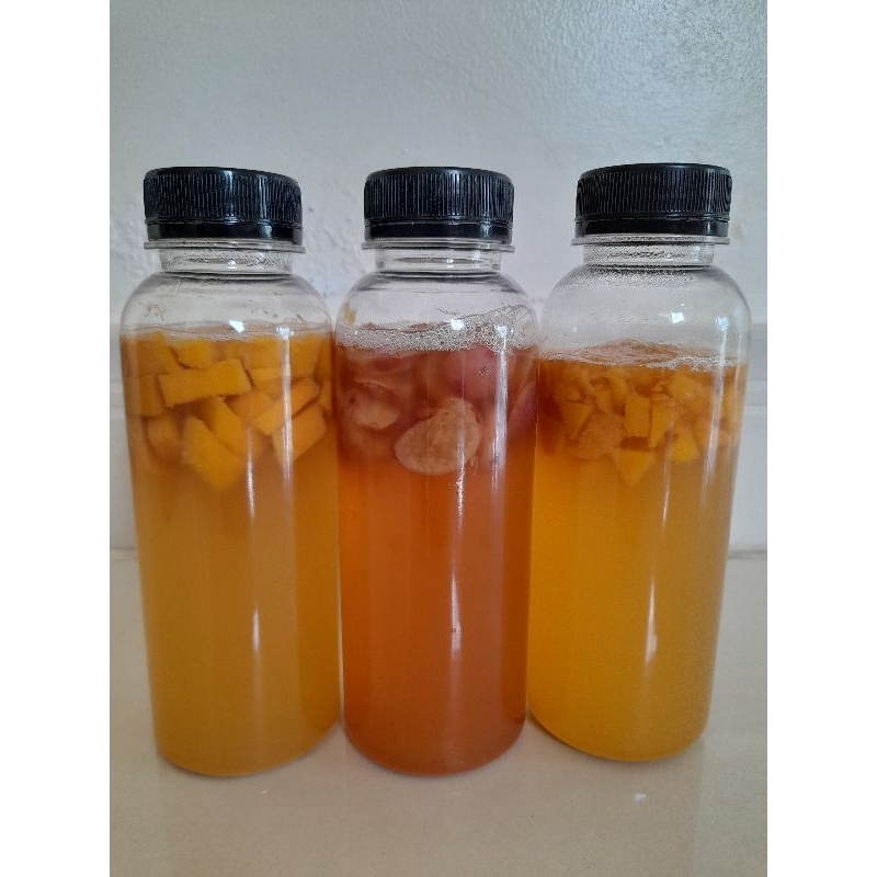 Men SCOBY + Nước mồi làm trà Kombucha tốt cho sức khỏe | Shopee Việt Nam